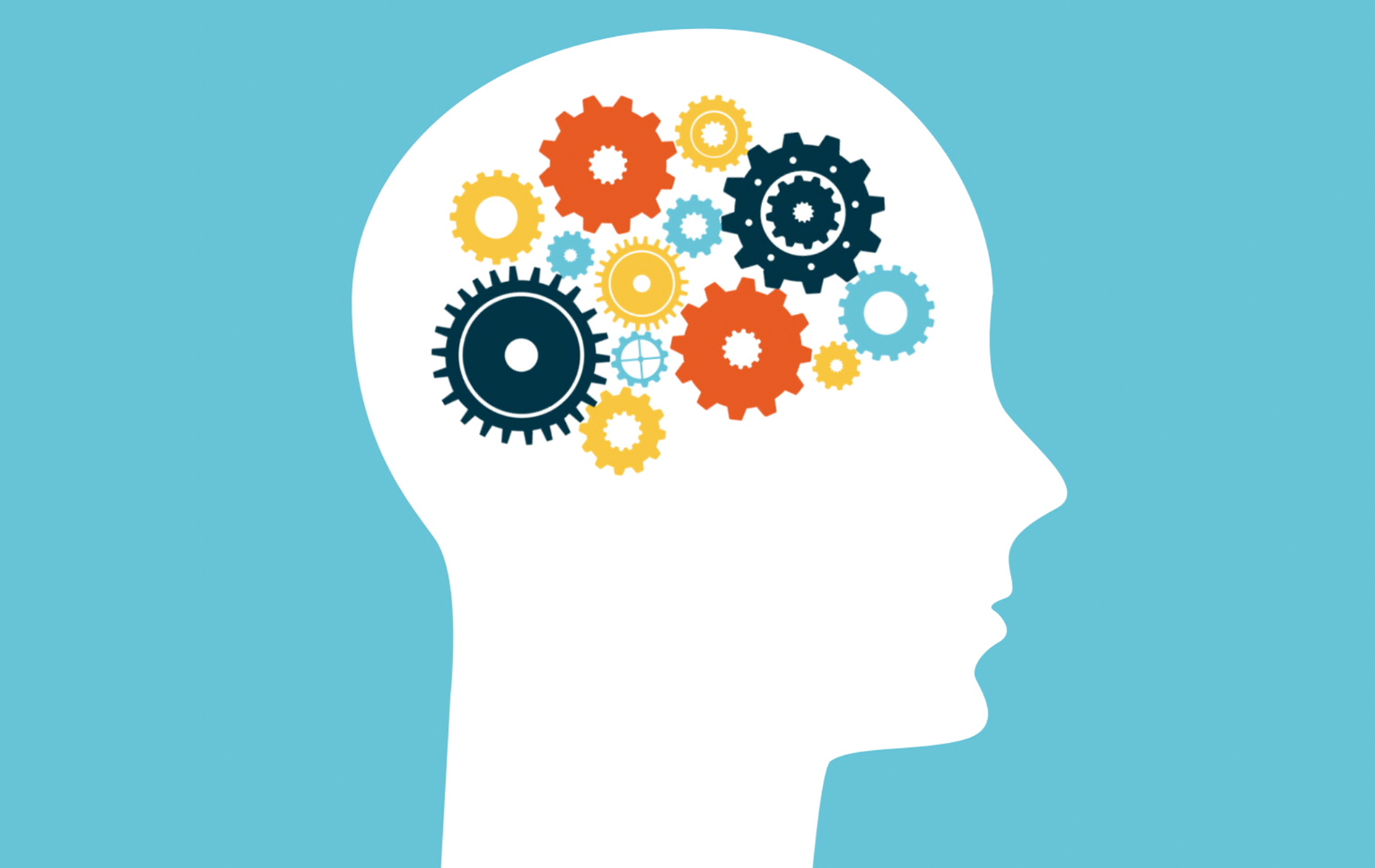 California State University, East Bay